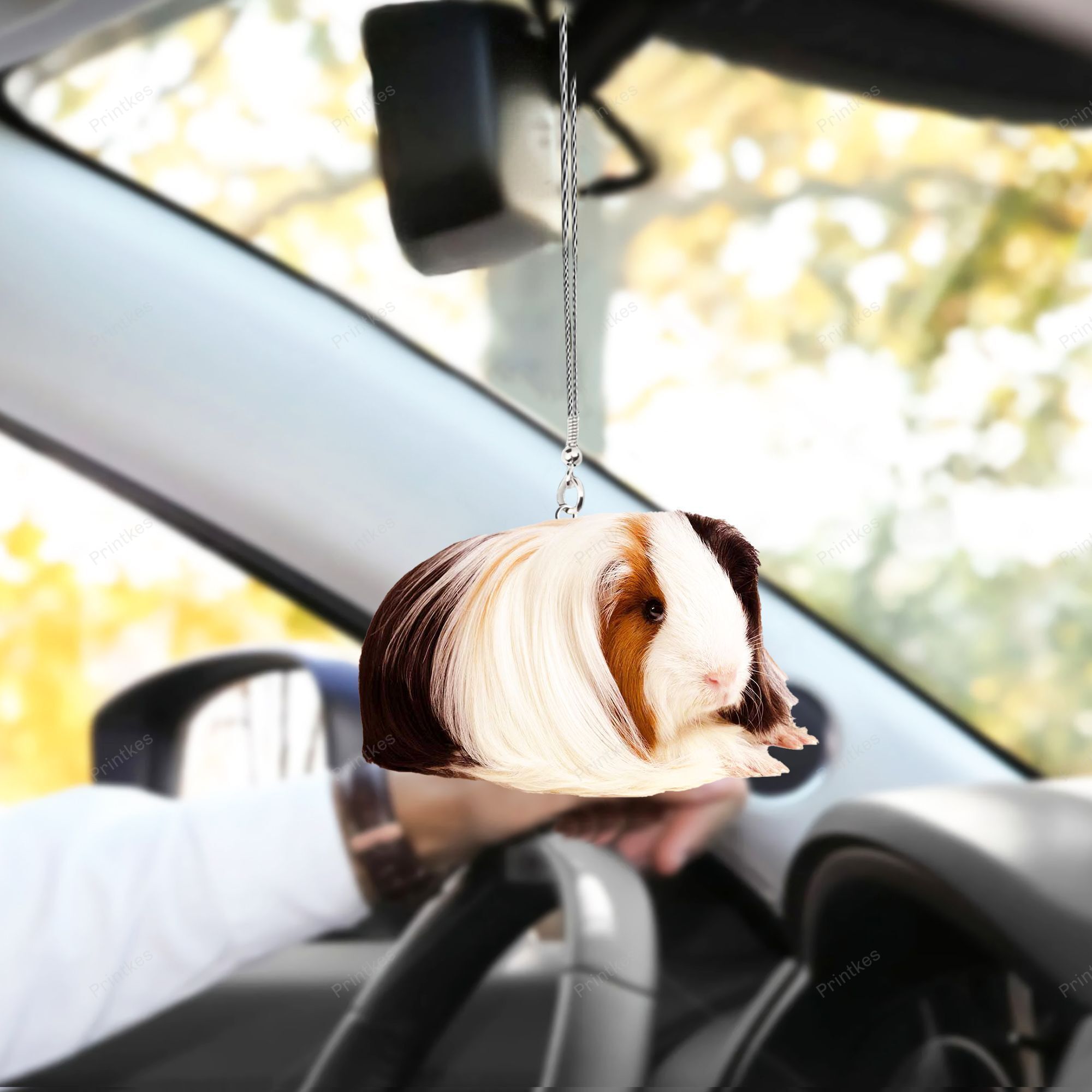 Guinea Pig Silk Hair MB8 PGV Car Hanging - The Happy Wood