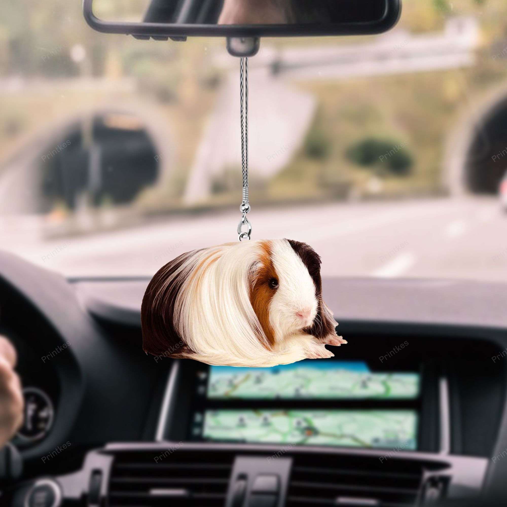 Guinea Pig Silk Hair MB8 PGV Car Hanging - The Happy Wood