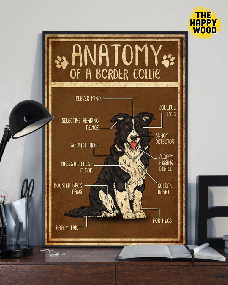 Anatomy Of A Border Collie Vertical Poster Canvas For Home Decoration ...